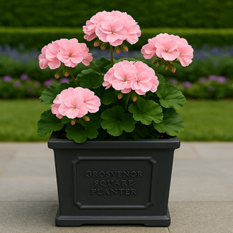 Patio Planters – Rowans Secret Garden